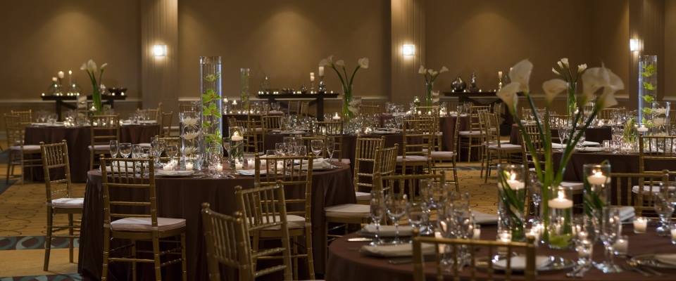 Baronette Novi Wedding Exterior - Cool Rain (or Ice) Chains Picture