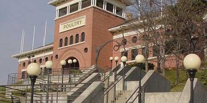 Artisans Building at the Illinois State Fairgrounds Weddings | Get ...